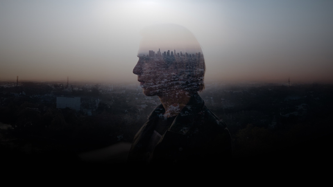 Fade Transitions for Premiere Pro - Essential Fades Pack