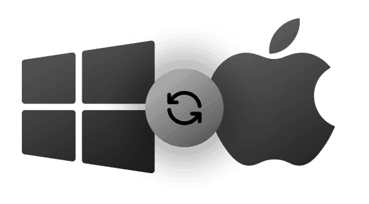 Free Spotlight FX Plugin - For Premiere Pro & After Effects | Spotlight FX